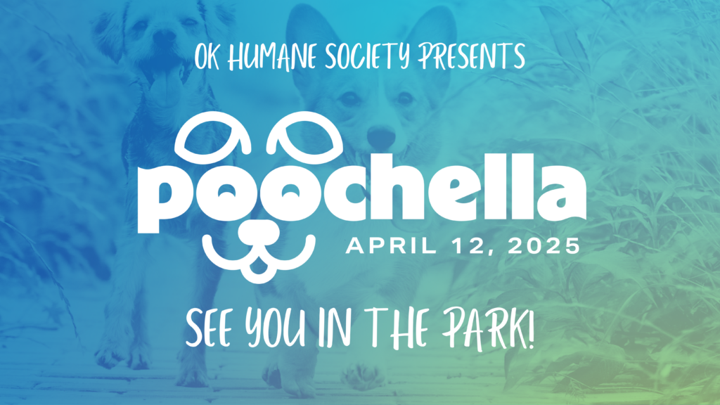 Art Moves at Poochella: Peter Markes, Laura Reese, and Sarafina Byrd ...